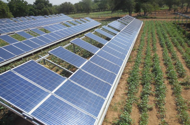Agrivoltaics in India: Challenges and opportunities for scale-up – pv ...