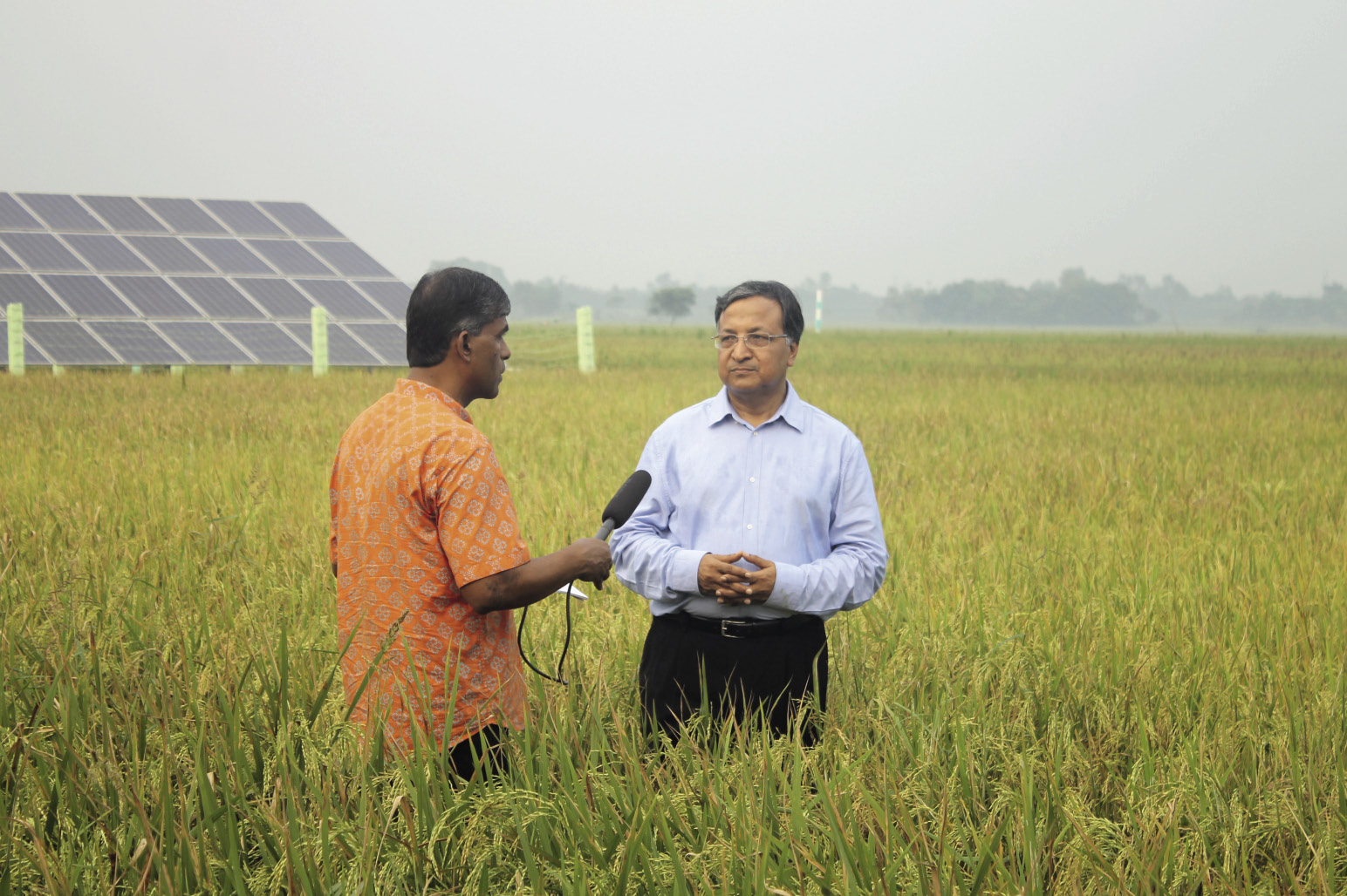 The long read: Bangladesh’s renewables pioneer dreams of a ‘solar ...