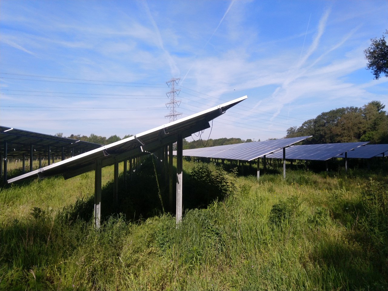 Minimum solar panel row distance crucial for good soil, vegetation ...