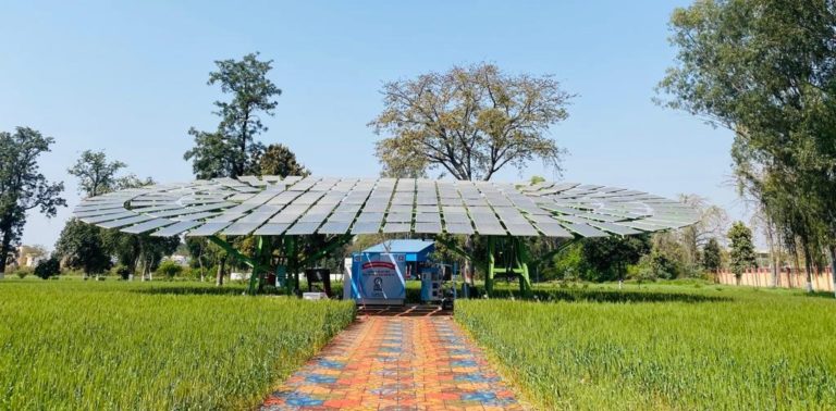 World’s largest solar tree record smashed – pv magazine India
