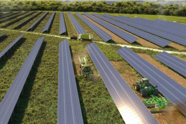 Agrivoltaics adding value to crops with low agricultural yield – pv ...