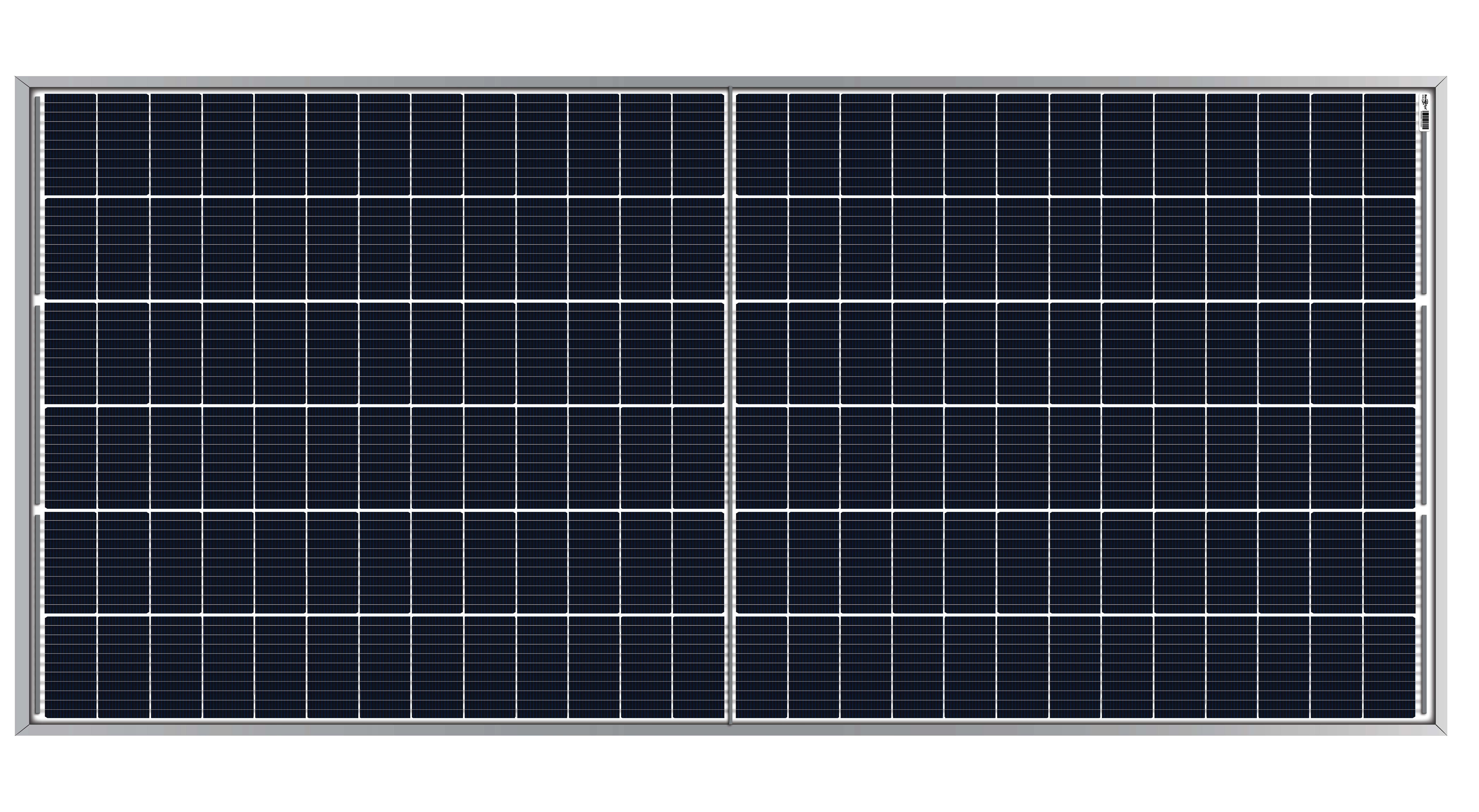 RenewSys unveils 590 W bifacial solar module – pv magazine India