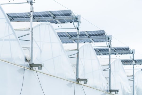 Modules & Upstream Manufacturing – pv magazine India