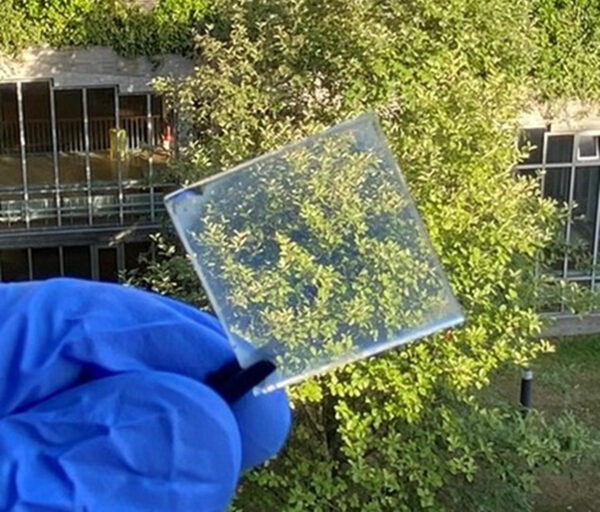 Single-junction transparent perovskite solar cell achieves record ...