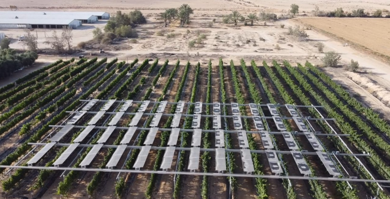 Israeli startup launches agrivoltaic pilot in desert with double-axis ...