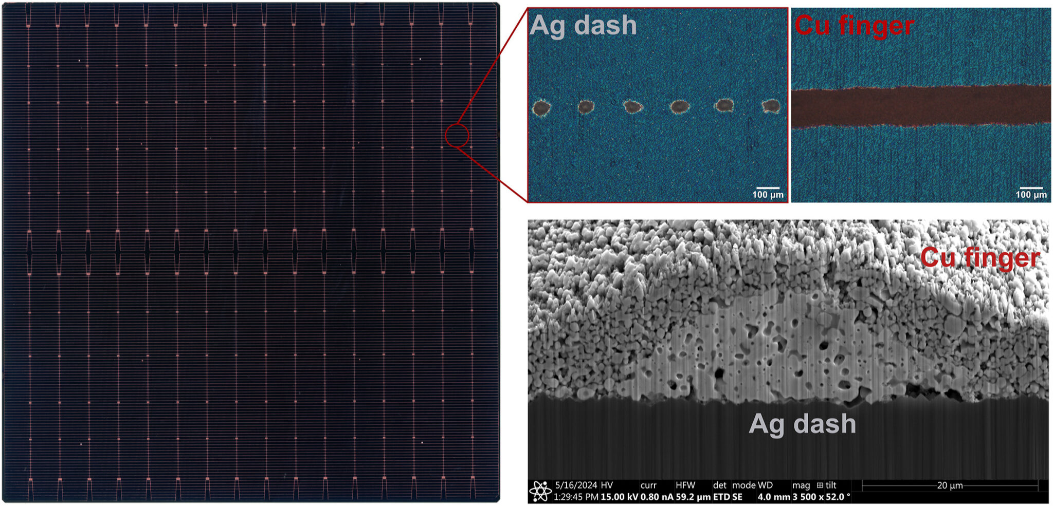 Silver-lean screen-printing can reduce silver use in TOPCon solar cells ...