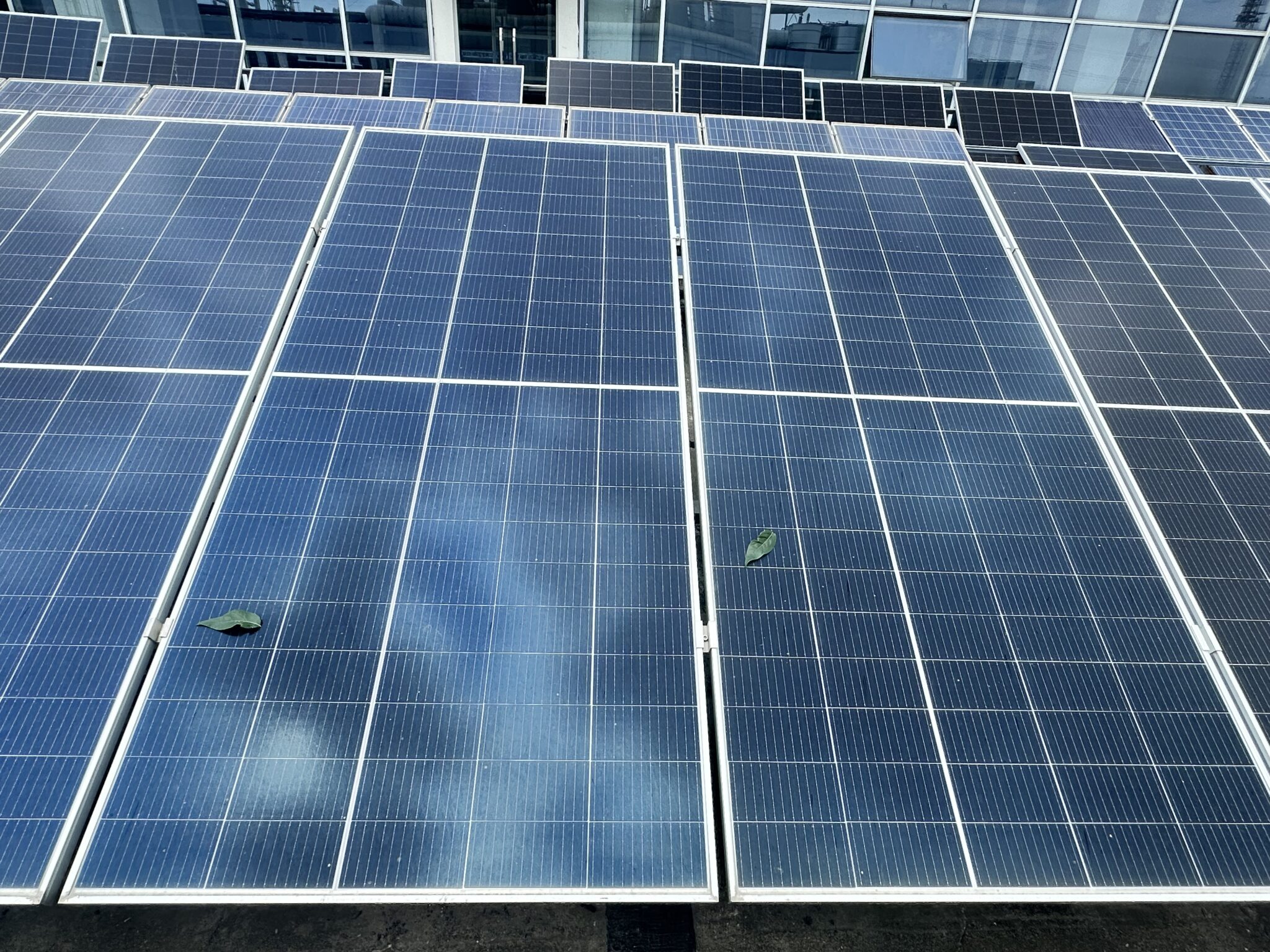 Advantage of back-contact solar modules in shading scenarios is limited ...