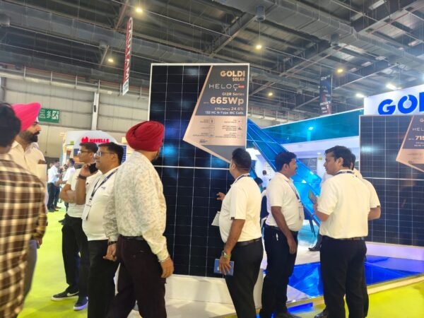 Goldi Solar unveils 665 Wp back-contact PV panel with 24.6% efficiency ...